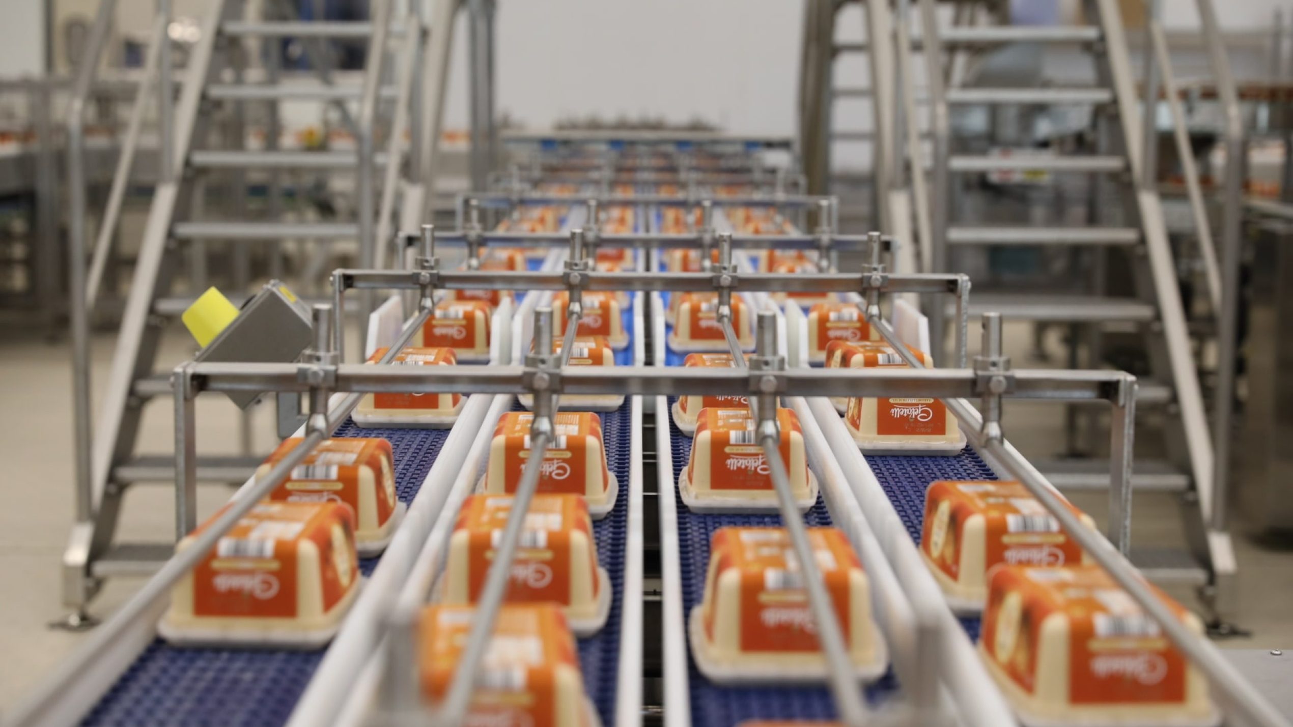 Wer wir sind: Die Unternehmen der Schwarz Gruppe im Überblick