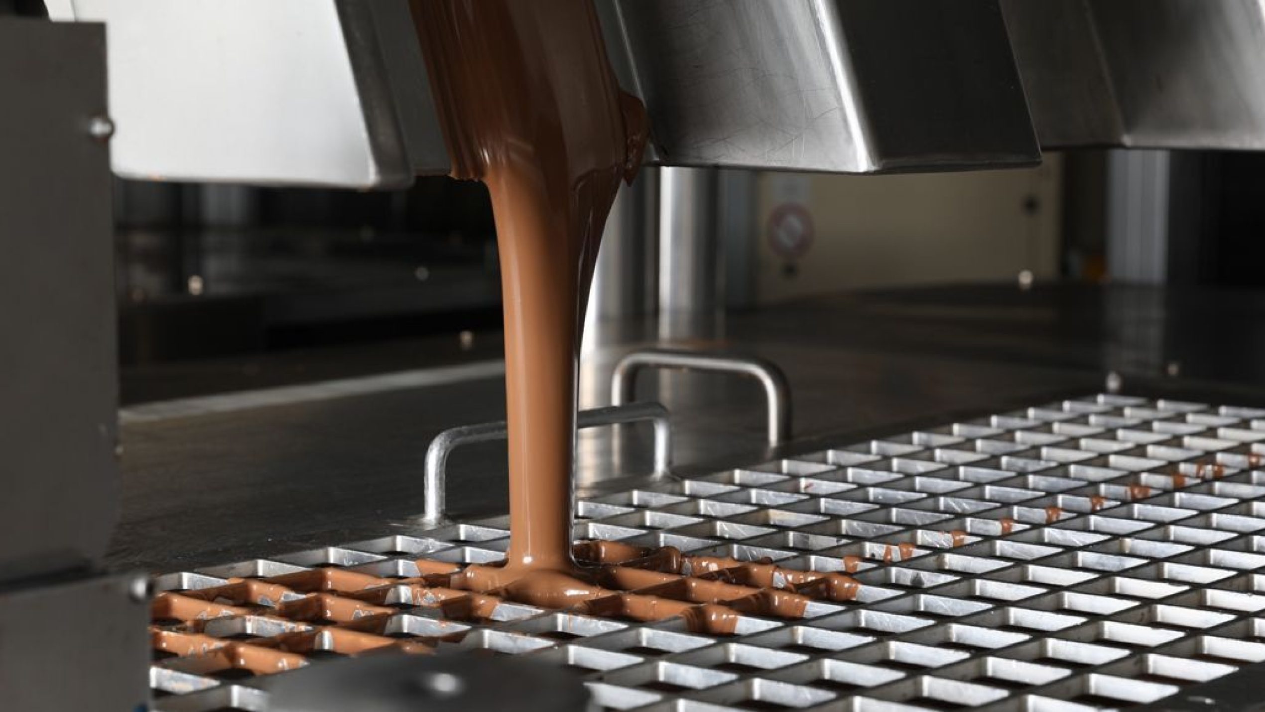 Who We are: The Companies of Schwarz Group at a Glance