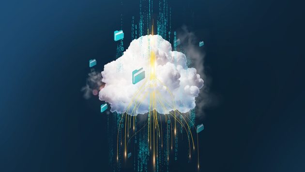 Schwarz Digits The IT and digital Powerhouse
